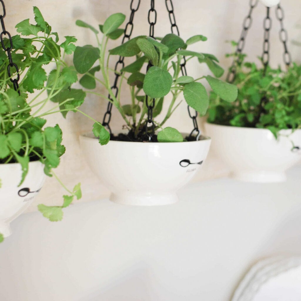 DIY Hanging Herb Garden Planters: A Stylish Way to Grow Your Own Herbs ...