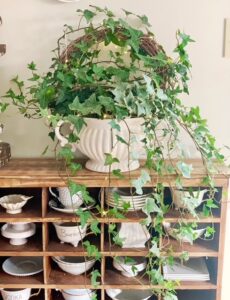 DIY Topiary with Grapevine Wreaths and Live Plants - Celebrated Nest