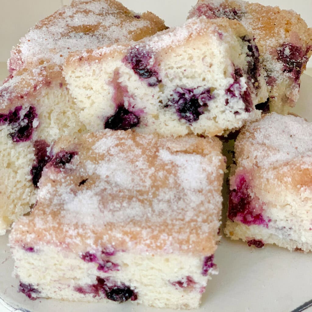 Gram’s Blueberry Crumb Cake - Celebrated Nest