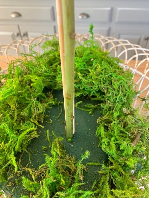 How to Design a Lily Flower Arrangement like a Pro - Celebrated Nest