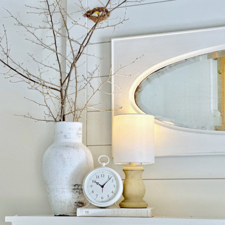 The Ultimate Guide to Lace Aloe Plant (Aristaloe aristata): Care ...