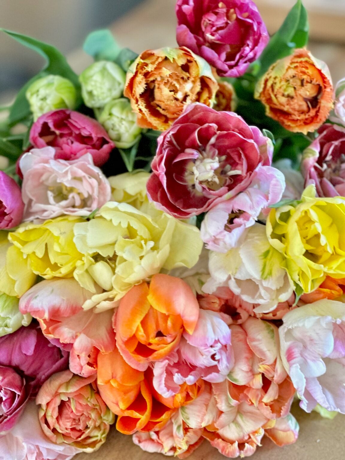 How to Make Tulips Last Longer: 7 Expert Tips from a Florist ...