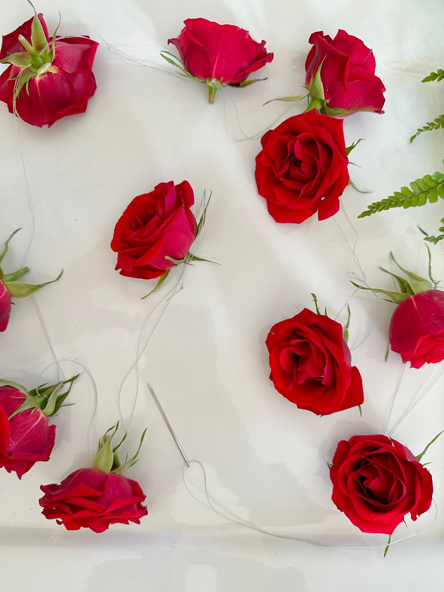 What to Do with Dried Roses: 20 Easy Crafts for Preserved Blooms ...