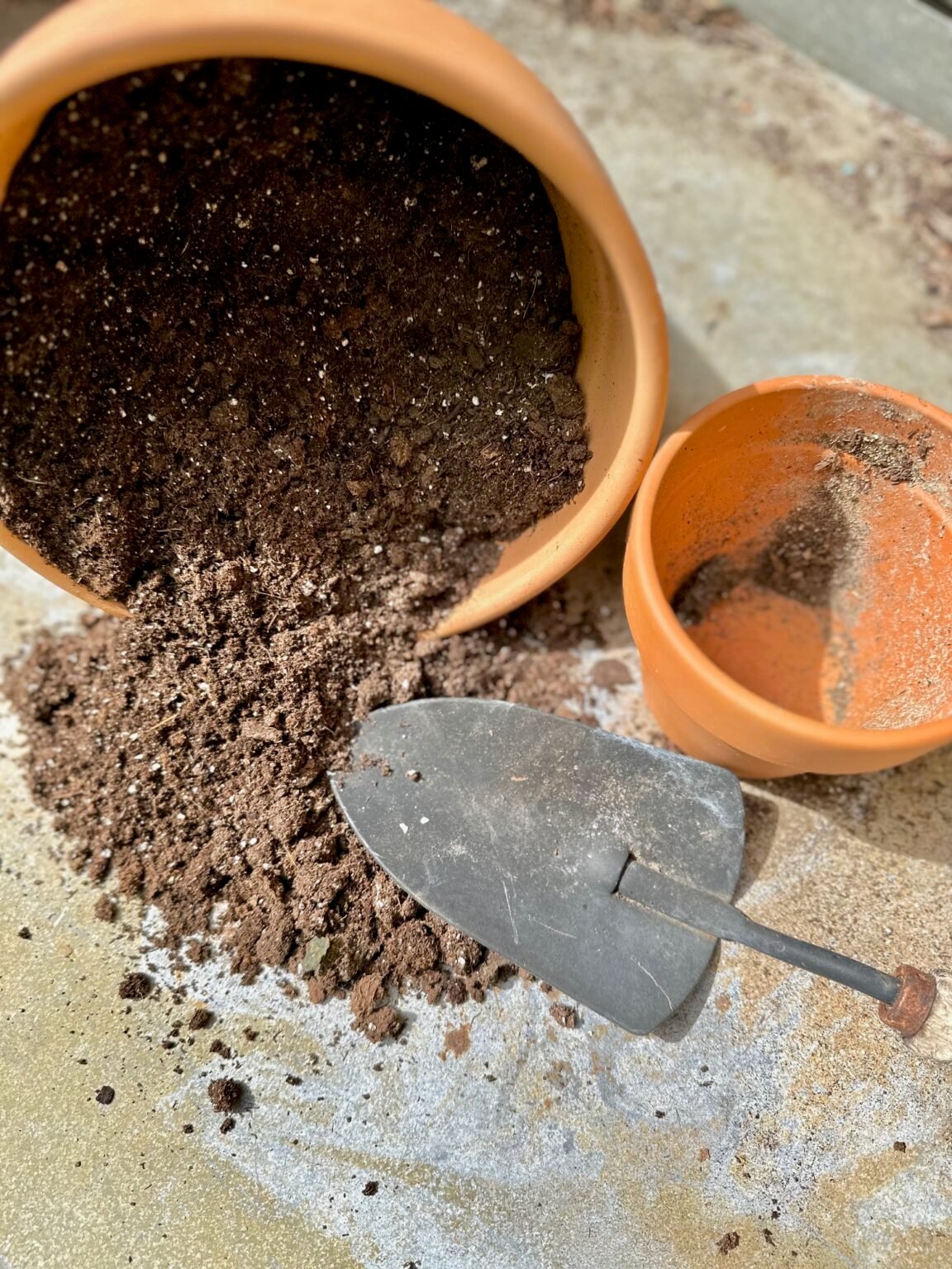 DIY Pothos Soil Mix Recipe: Growing Gorgeous Pothos - Celebrated Nest