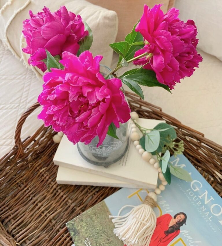 Peony Flower Meaning: What Hue Speaks to Your Sentiments? - Celebrated Nest