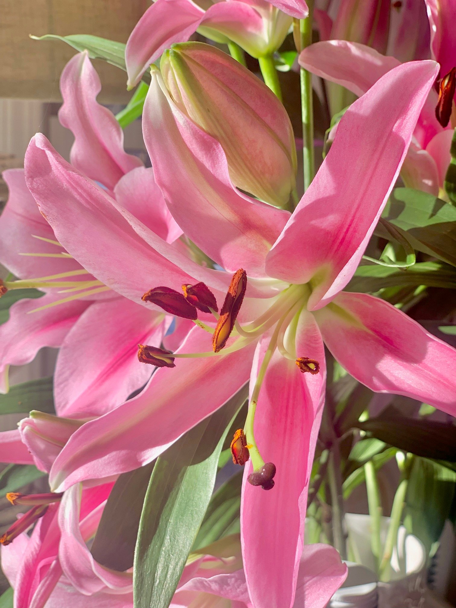 How to Design a Lily Flower Arrangement like a Pro - Celebrated Nest