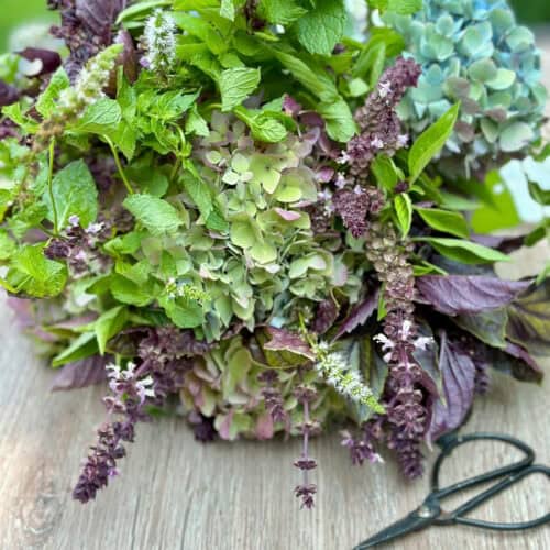 Flowering Herbs: 12 Beautiful Herbs That Bloom in Your Garden ...