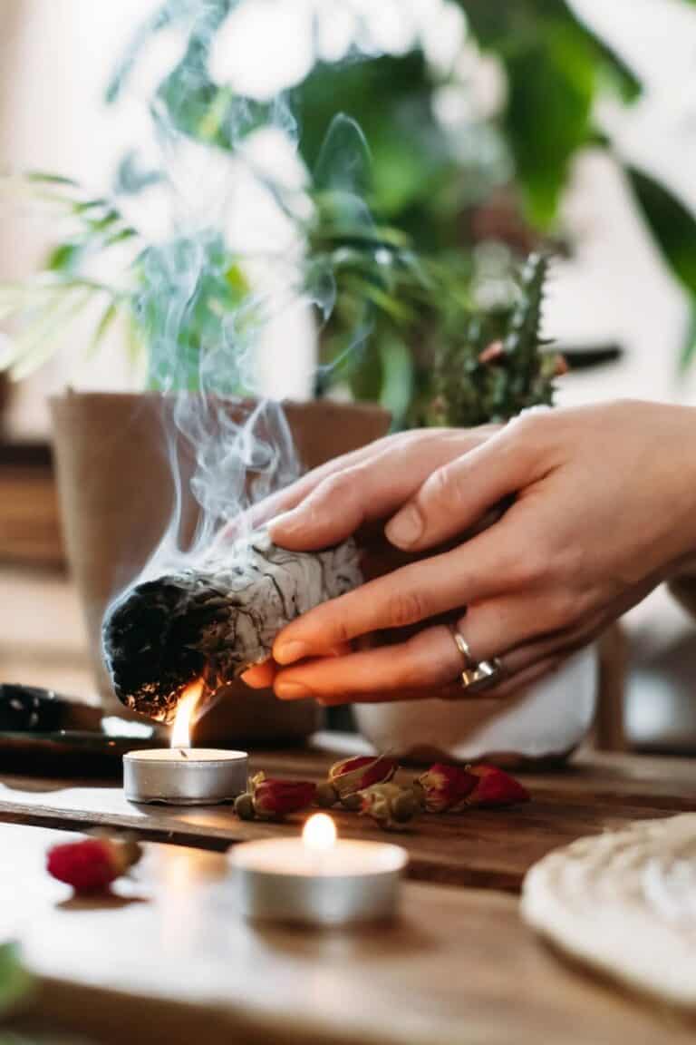 Herbs For Protection: 20 Powerful Plants & How to Use Them - Celebrated ...