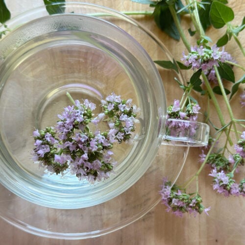How to Make Oregano Tea Using Fresh Leaves, Flowers, or Dried Herbs ...