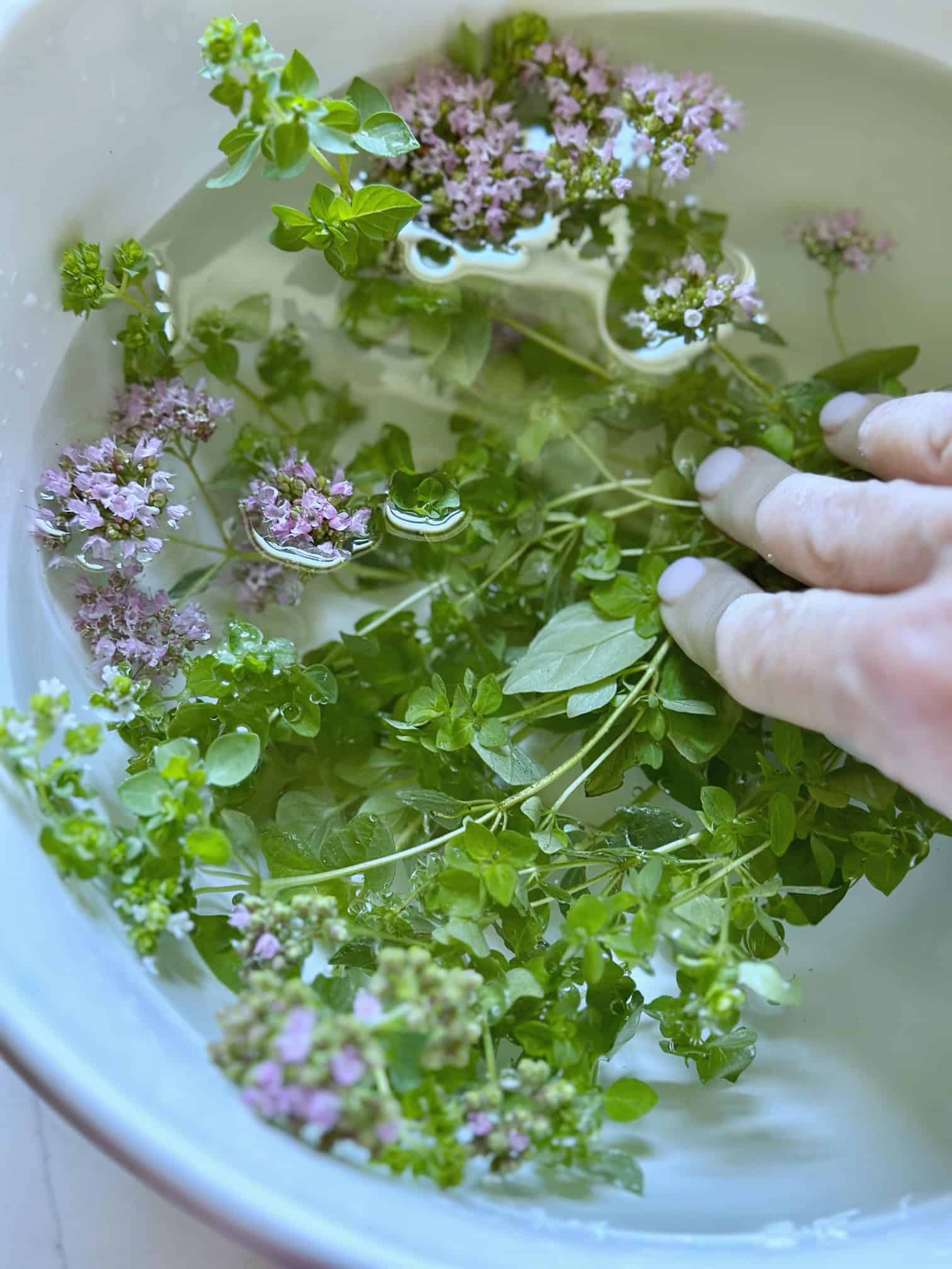 How to Make Oregano Tea Using Fresh Leaves, Flowers, or Dried Herbs ...